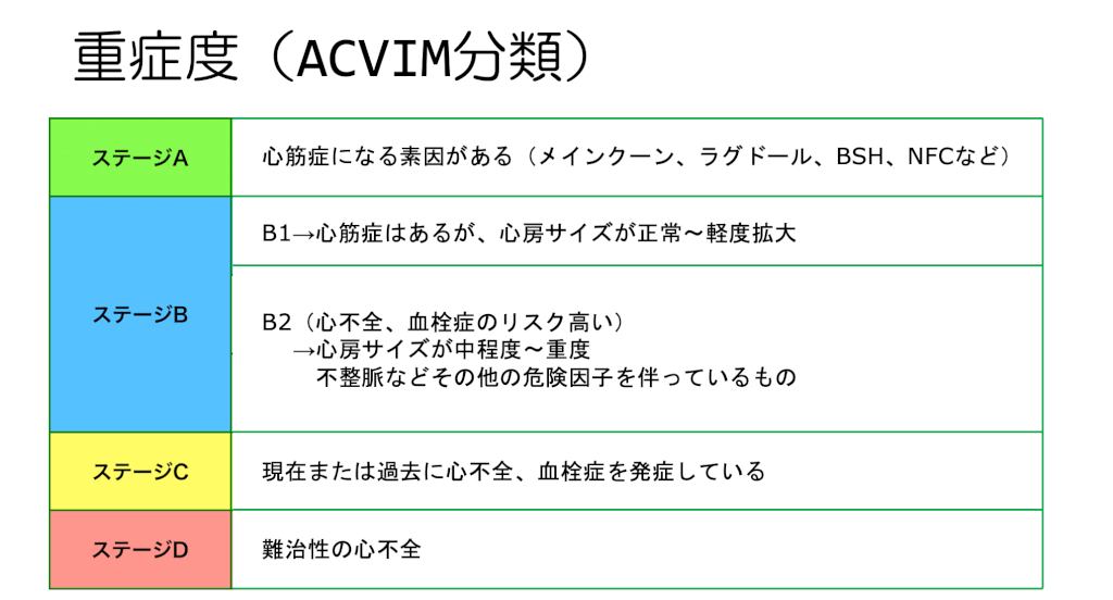 猫の心筋症について - 木更津みき動物病院 - 千葉県木更津市